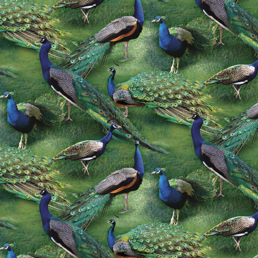 45" Pageant Of Color Peacocks Fabric | Marshall Dry Goods