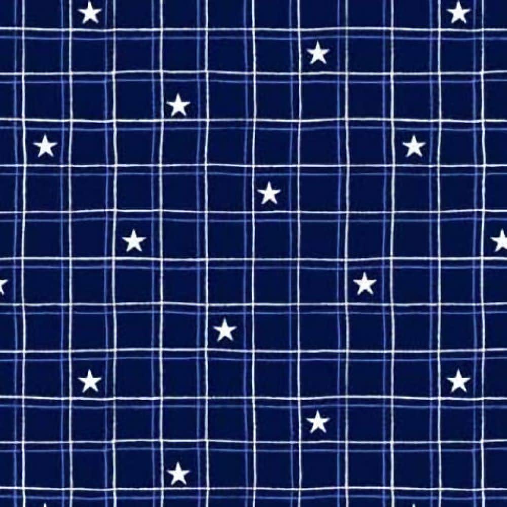 45" Michael Miller Checkered Fabric | Marshall Dry Goods