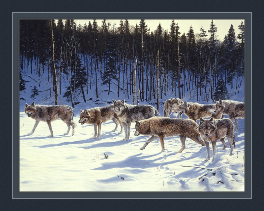 45" MDG The Gathering Wolf Panel Fabric | Marshall Dry Goods