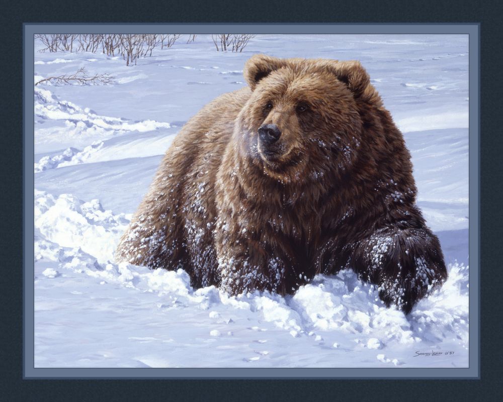 45" MDG Heavy Going Grizzly Bear Panel Fabric | Marshall Dry Goods