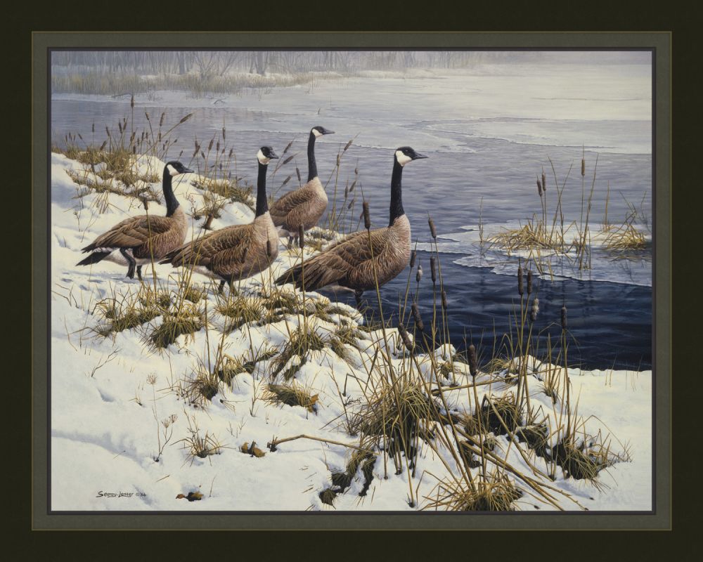 45" MDG Among The Cattails Canadian Geese Panel Fabric | Marshall Dry Goods